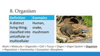 Unit 3, Lesson 3.2 - Levels of Biological Organization | PPTX