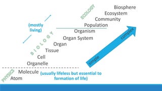 Unit 3, Lesson 3.2 - Levels of Biological Organization | PPTX