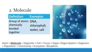 Unit 3, Lesson 3.2 - Levels of Biological Organization | PPTX