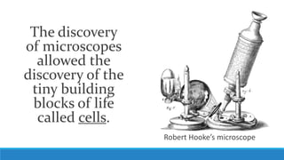Unit 3, Lesson 3.3 - The Cell Theory | PPTX | Biological Sciences | Science