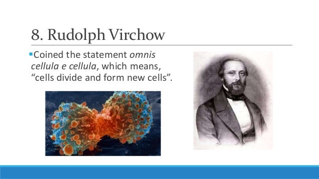 Unit 3, Lesson 3.3 - The Cell Theory