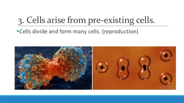 Unit 3, Lesson 3.3 - The Cell Theory