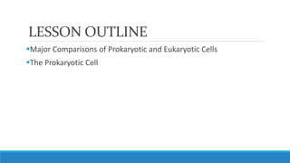 Unit 3, Lesson 3.4 - Prokaryotes vs. Eukaryotes | PPTX