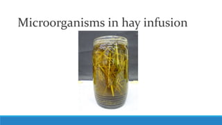 Unit 3, Lesson 3.6 - Microorganisms | PPTX