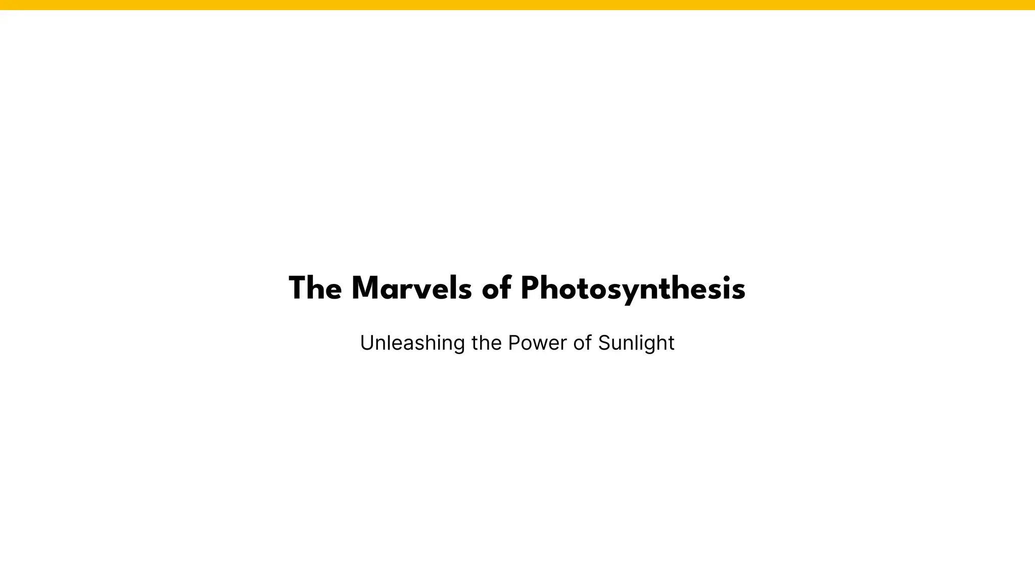 High School Biology Lesson - Photosynthesis.pdf