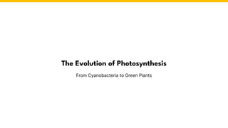 High School Biology Lesson - Photosynthesis.pdf