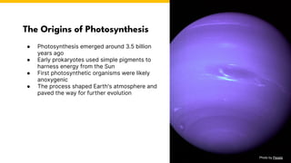 High School Biology Lesson - Photosynthesis.pdf