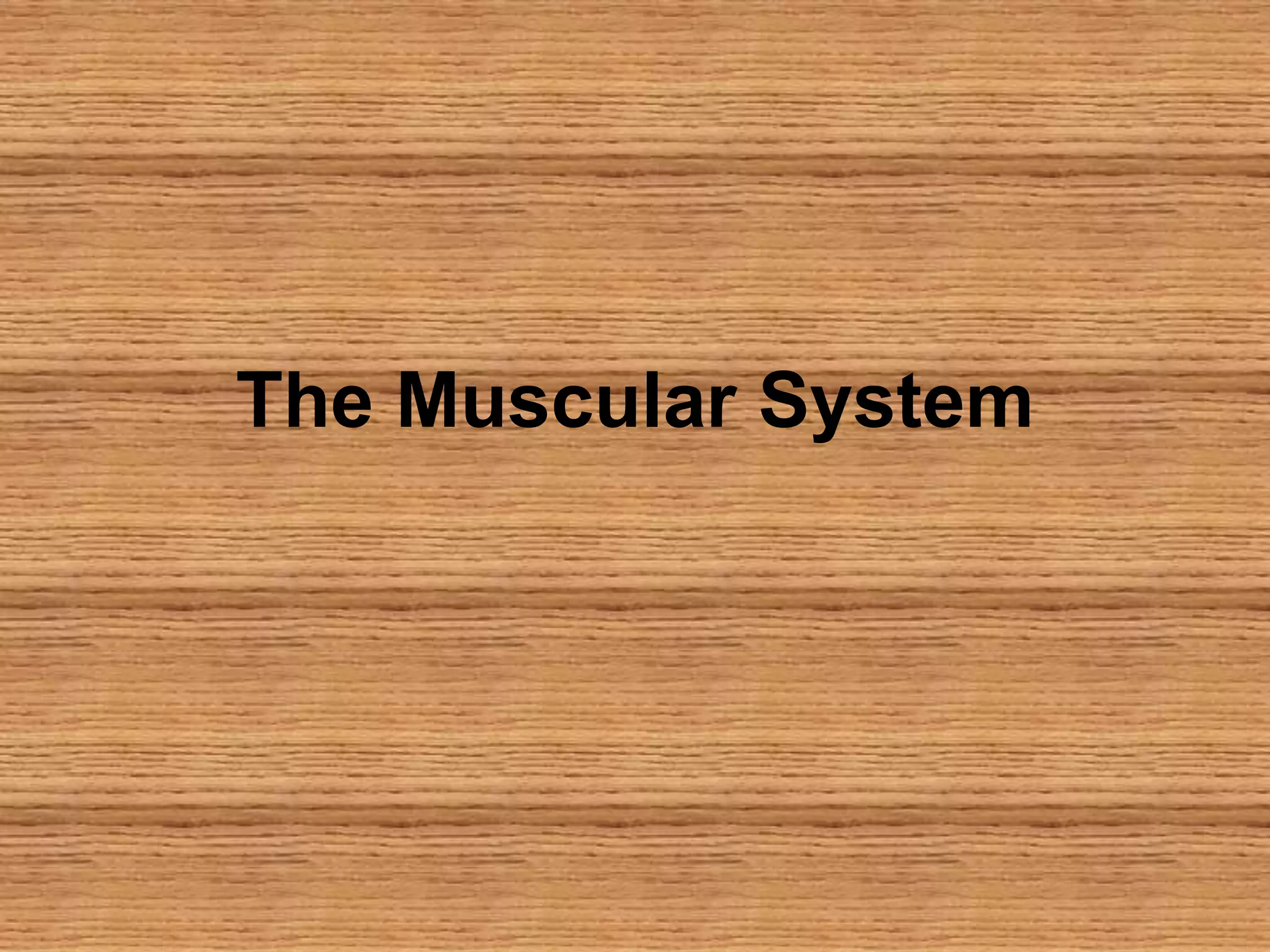 Muscular System.ppt