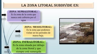 Interfase del océano - continente | PPTX