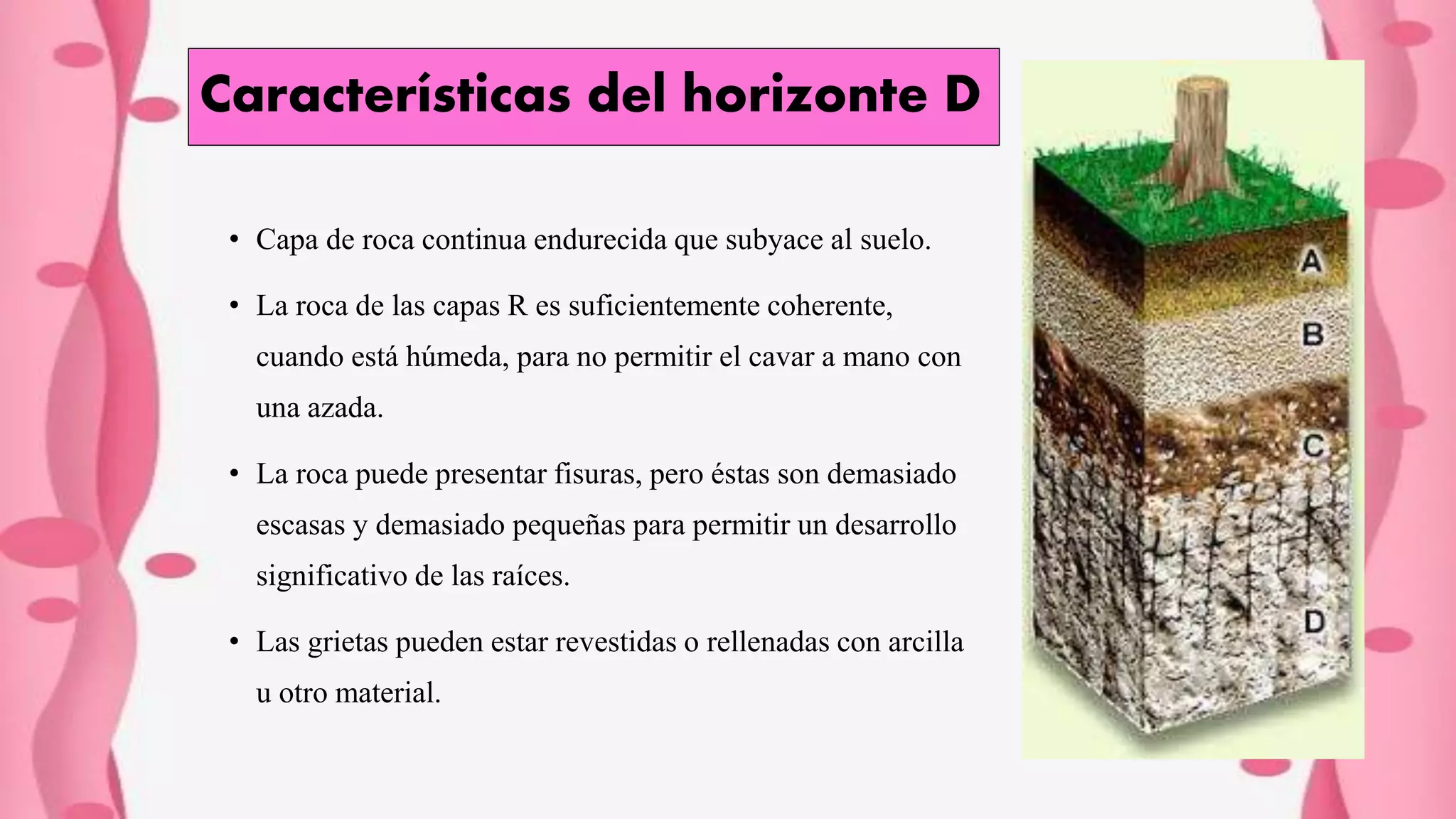Perfil y horizontes del suelo | PPTX