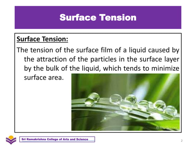 Properties of Matter - U4 - Surface Tension -PPT 1 | PPT