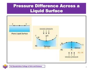Properties of Matter - U4 - Surface Tension -PPT 1 | PPTX