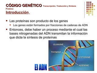 Codigo Genetico | PPT
