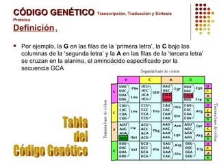 Codigo Genetico | PPT