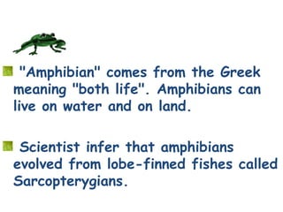 Class Amphibians in Zoology Year One.pptx