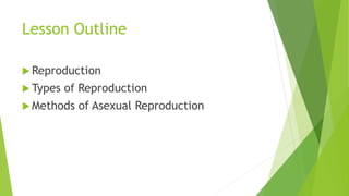 Unit 4, Lesson 4.1 - Asexual Reproduction | PPTX