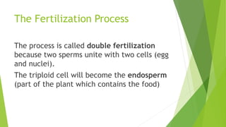 Unit 4, Lesson 4.3 - Plant Fertilization | PPTX