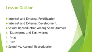Unit 4, Lesson 4.5 - Sexual Reproduction in Animals | PPTX