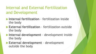 Unit 4, Lesson 4.5 - Sexual Reproduction in Animals | PPTX