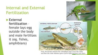 Unit 4, Lesson 4.5 - Sexual Reproduction in Animals | PPTX
