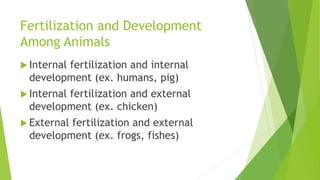 Unit 4, Lesson 4.5 - Sexual Reproduction in Animals | PPTX