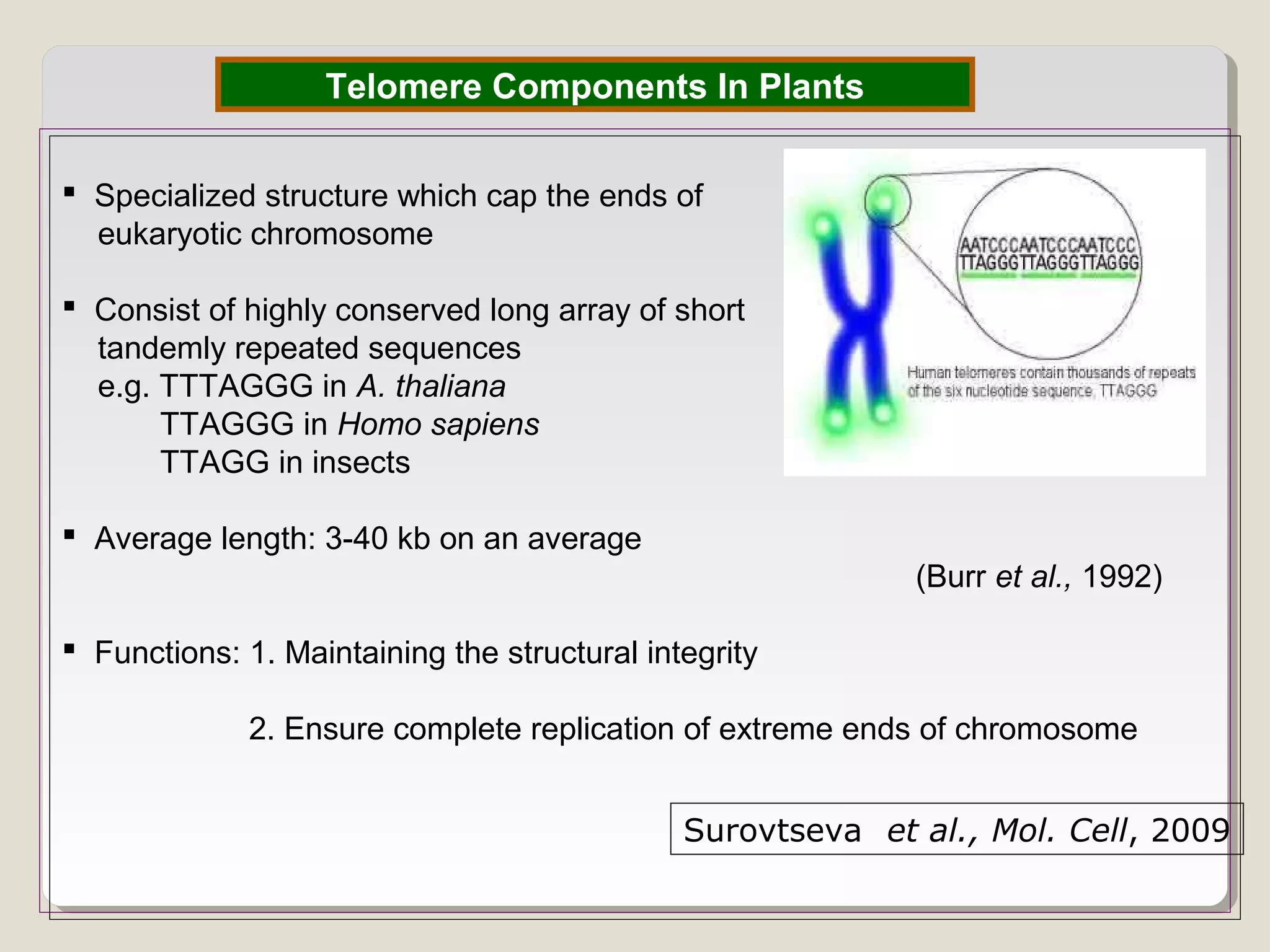 SYNTHETIC CHROMOSOME PLATFORMs IN PLANTS: CONCEPTS & APPLICATIONs | PPT