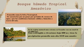 Bosque húmedo tropical amazónico | PDF