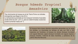 Bosque húmedo tropical amazónico | PDF