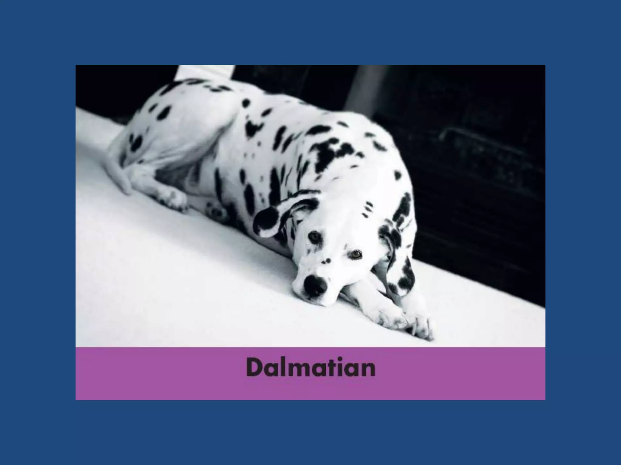 U4 w2tripping over the lunch lady.pdf