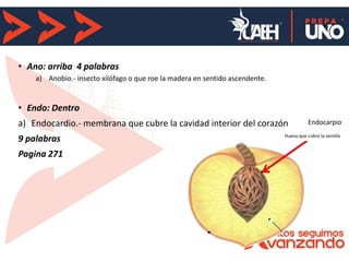 Signos y Acentos Vocales Griegas sufijos y prefijos. | PDF