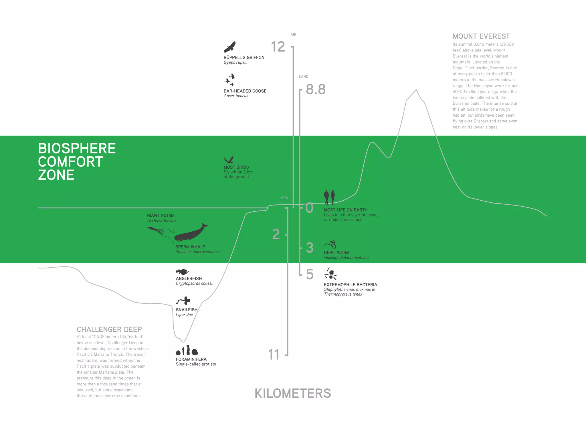 Unit 5: What Is The Biosphere? | PDF