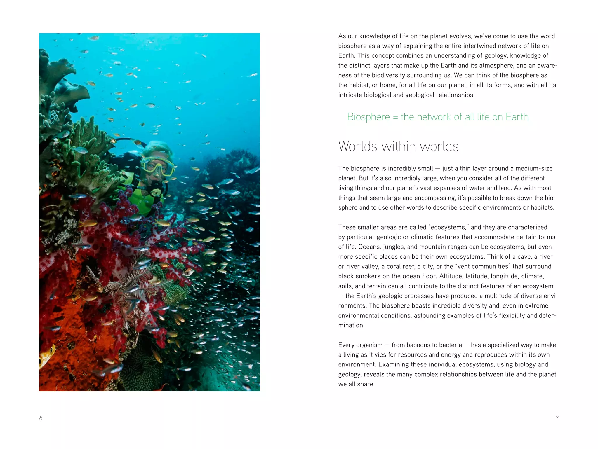 Unit 5: What Is The Biosphere? | PDF