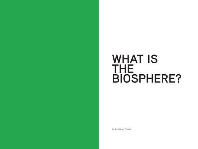 Unit 5: What Is The Biosphere? | PDF