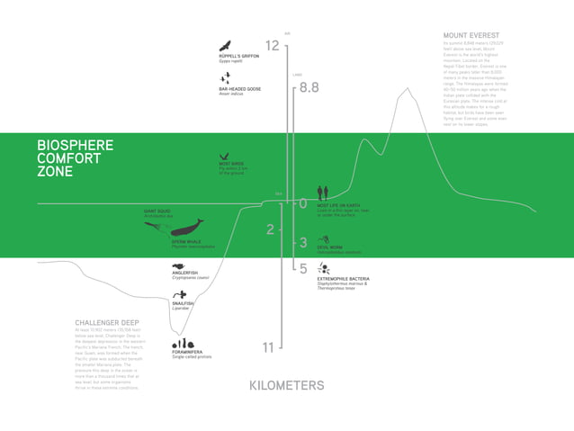 Unit 5: What Is The Biosphere? | PDF