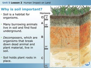 U5 L2 Human Impact on Land | PPT