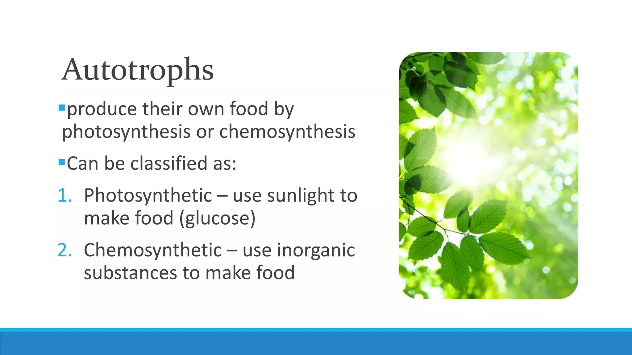 Unit 5, Lesson 5.2- Biotic and Abiotic Components | PPTX