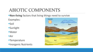 Unit 5, Lesson 5.2- Biotic and Abiotic Components | PPTX
