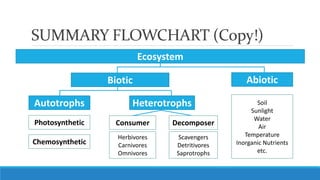 Unit 5, Lesson 5.2- Biotic and Abiotic Components | PPTX