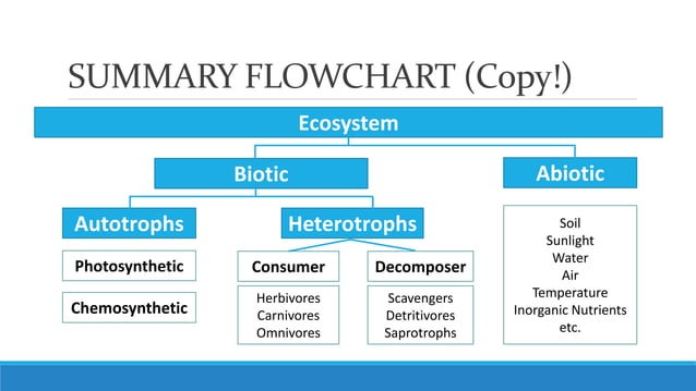 Unit 5, Lesson 5.2- Biotic and Abiotic Components | PPTX