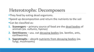 Unit 5, Lesson 5.2- Biotic and Abiotic Components | PPTX