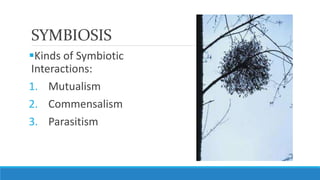 Unit 5, Lesson 5.3- Ecological Relationships | PPTX