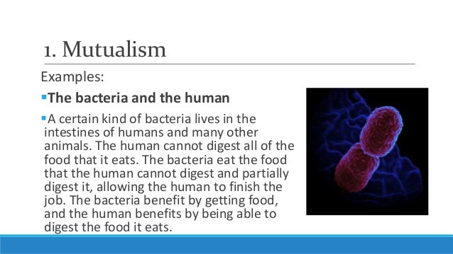 Unit 5, Lesson 5.3- Ecological Relationships