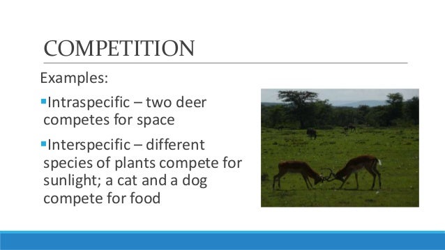 Cooperation In Ecosystem