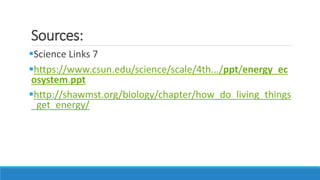 Unit 5, Lesson 4- Energy Flow in Ecosystem | PPTX