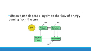 Unit 5, Lesson 4- Energy Flow in Ecosystem | PPTX