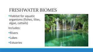 Unit 5, Lesson 5.5- Major Ecosystems and Resources in the Philippines ...