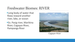 Unit 5, Lesson 5.5- Major Ecosystems and Resources in the Philippines ...