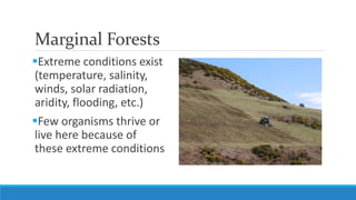 Unit 5, Lesson 5.5- Major Ecosystems and Resources in the Philippines ...