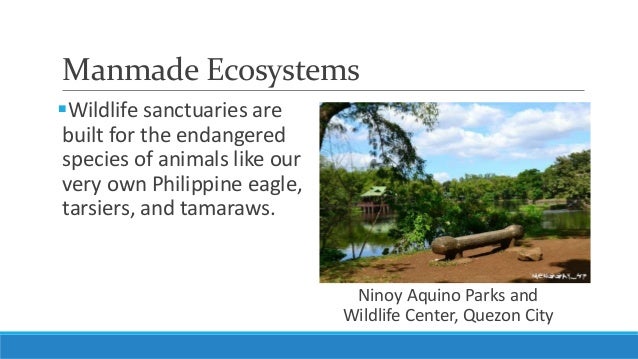 Man Made Resources Examples