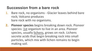 Unit 5, Lesson 5.7- Ecological Succession | PPT